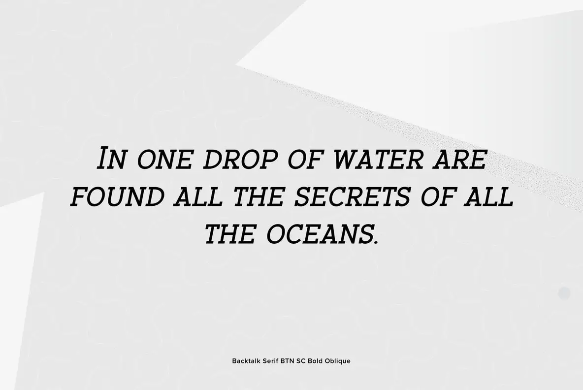 Backtalk Serif Font - YouWorkForThem