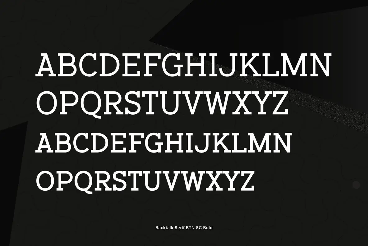 Backtalk Serif Font - YouWorkForThem
