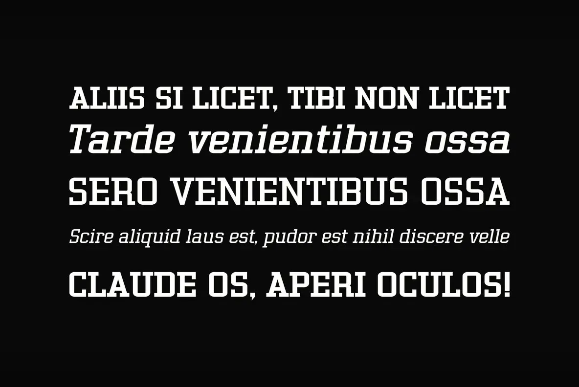 Gasoline Serif Font - FontPath