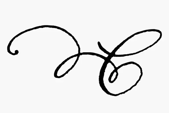 Nelly Script Flourish Font - YouWorkForThem