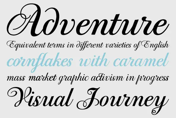 PF Bodoni Script Pro Font - YouWorkForThem