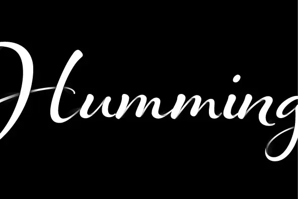 Hummingbird Font - YouWorkForThem