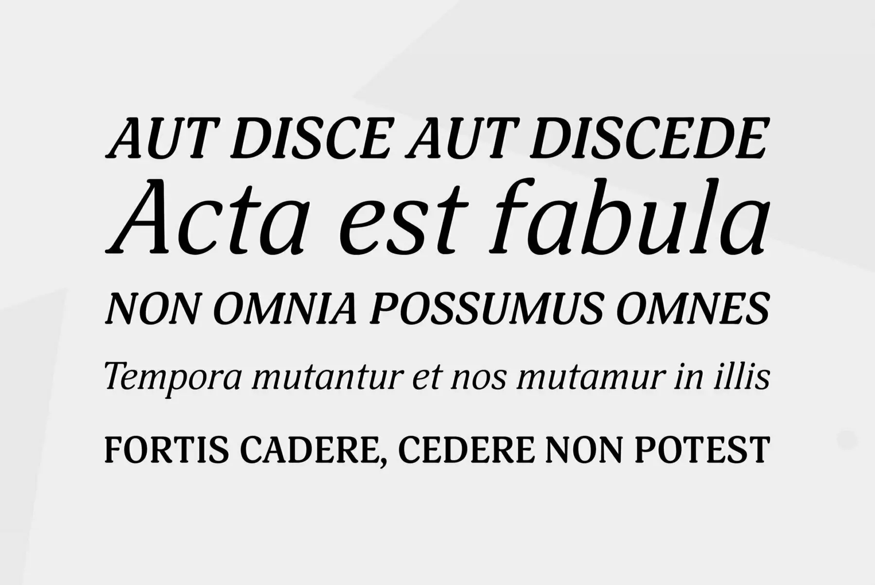 Adonis Font - YouWorkForThem