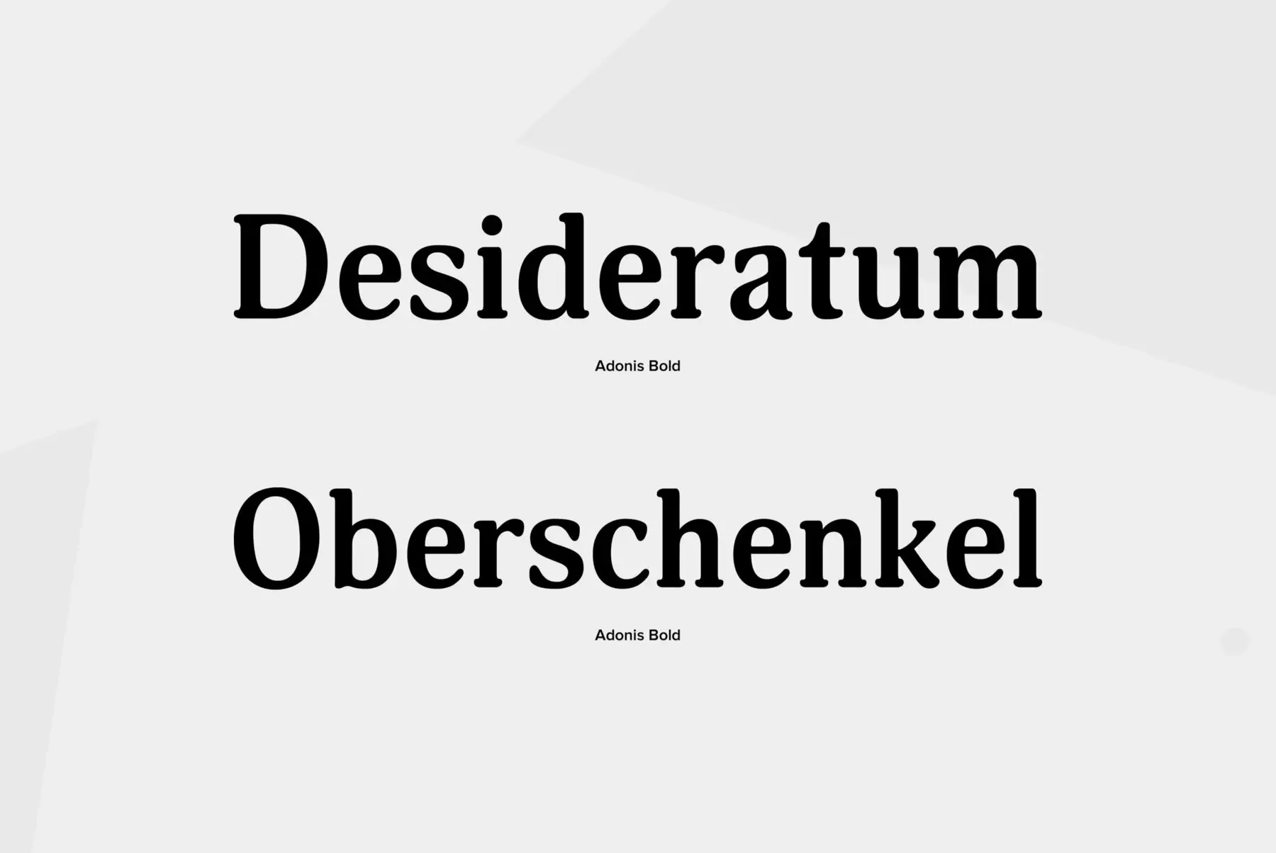 Adonis Font - YouWorkForThem