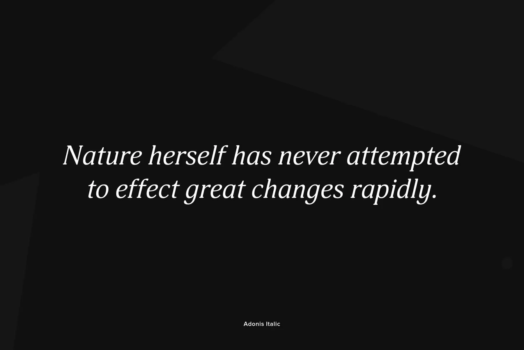 Adonis Font - YouWorkForThem