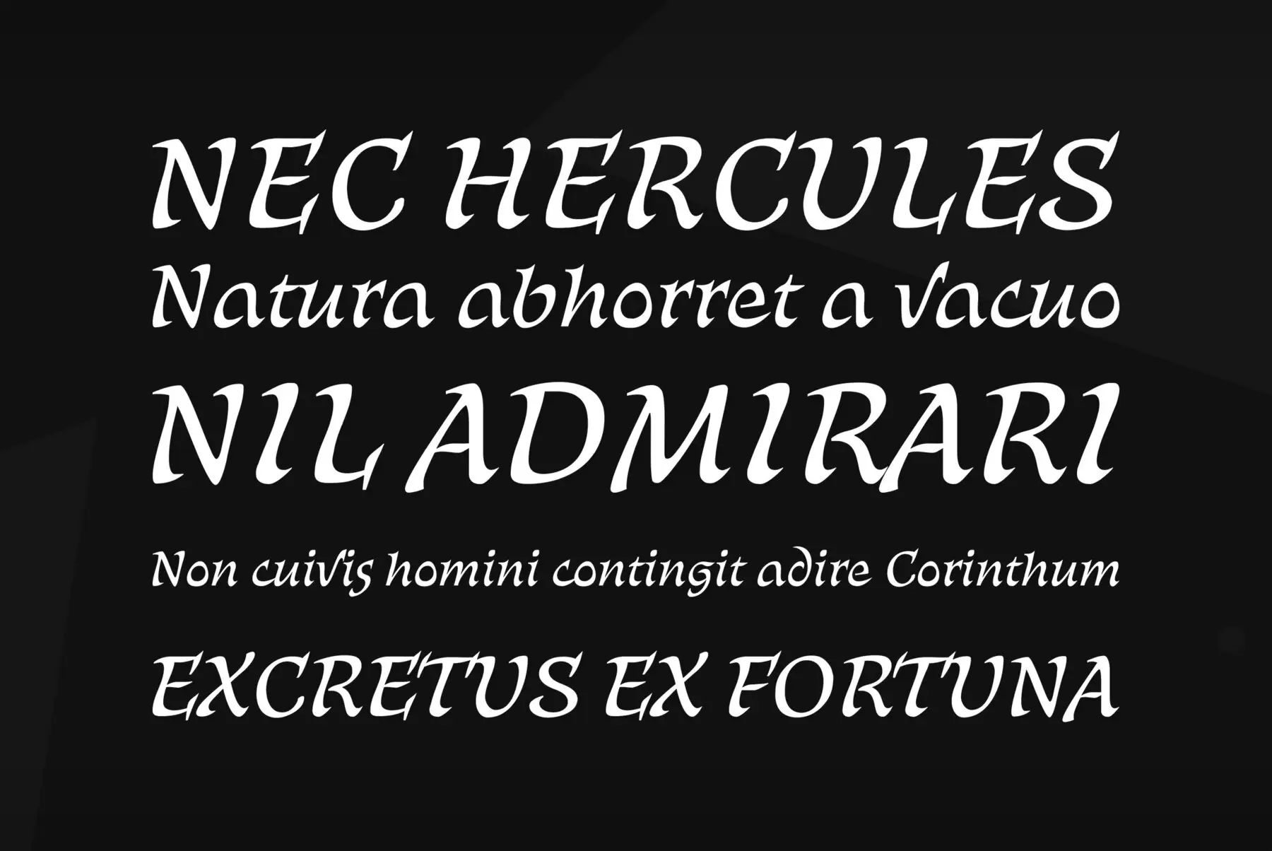 Bogdan Rejestrowy Font - YouWorkForThem