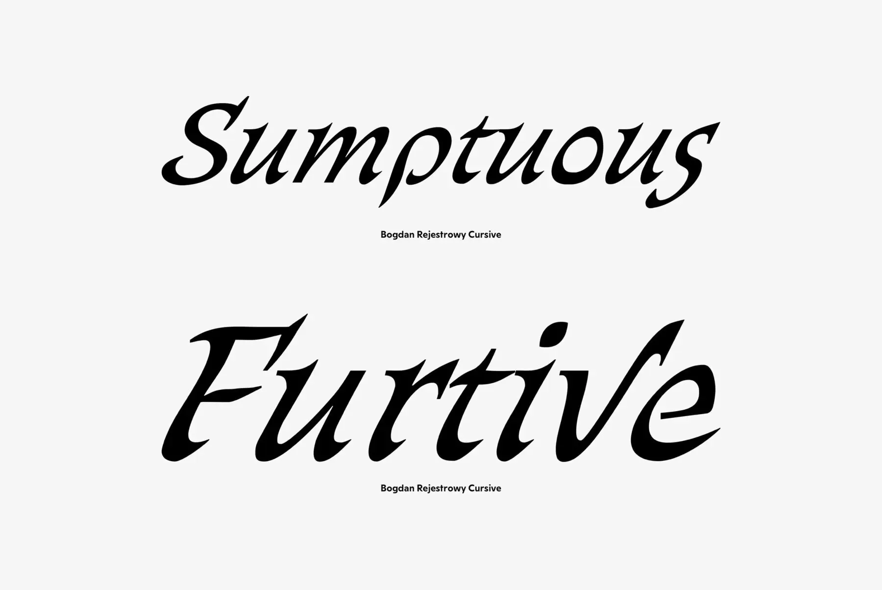 Bogdan Rejestrowy Cursive Font - YouWorkForThem