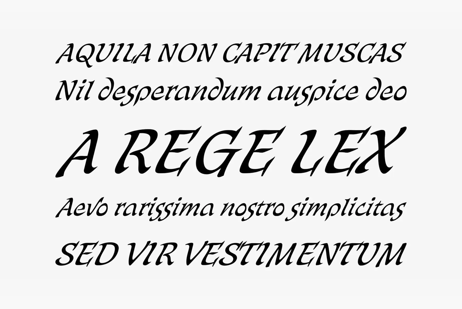 Bogdan Rejestrowy Cursive Font - YouWorkForThem