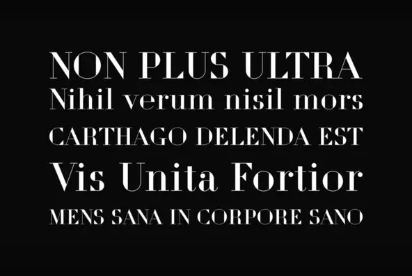 Circus Didot Font - YouWorkForThem