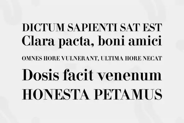 Didona Font - YouWorkForThem