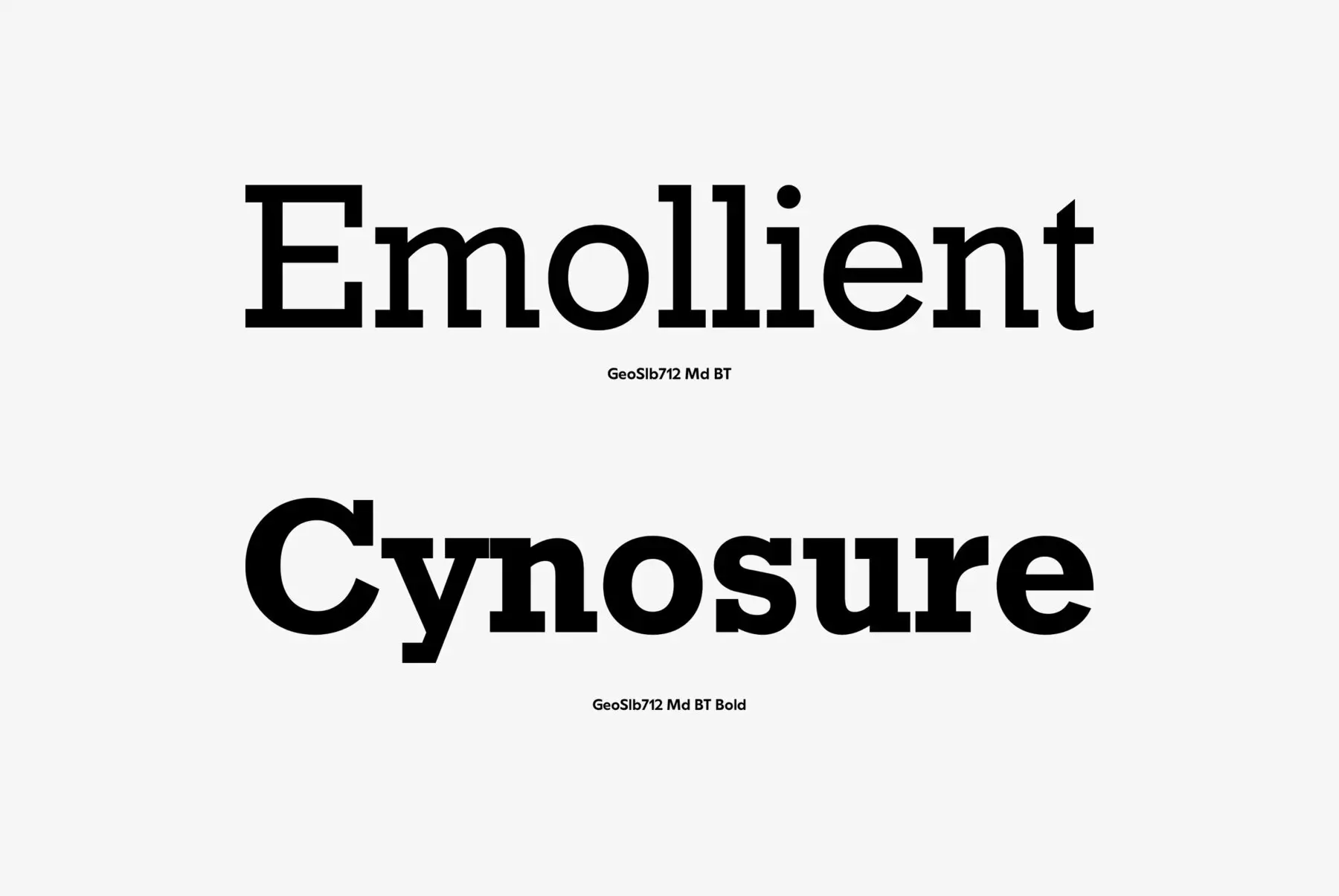 Geometric Slabserif Font - YouWorkForThem