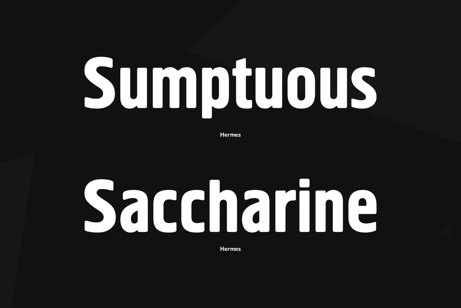 Hermes Font - YouWorkForThem