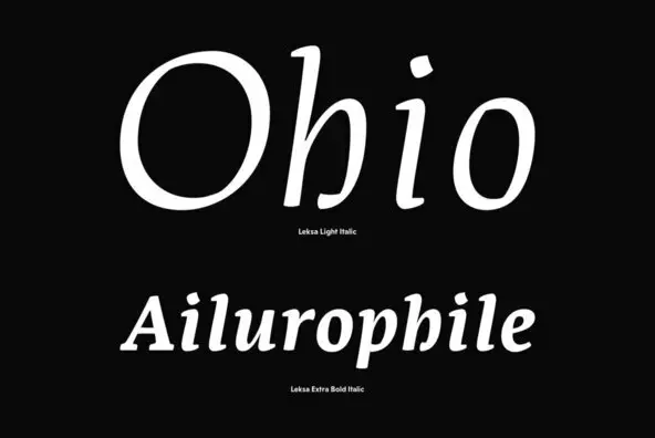 Leksa Font - YouWorkForThem