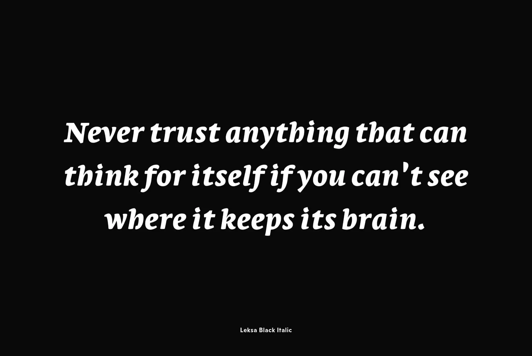 Leksa Font - YouWorkForThem