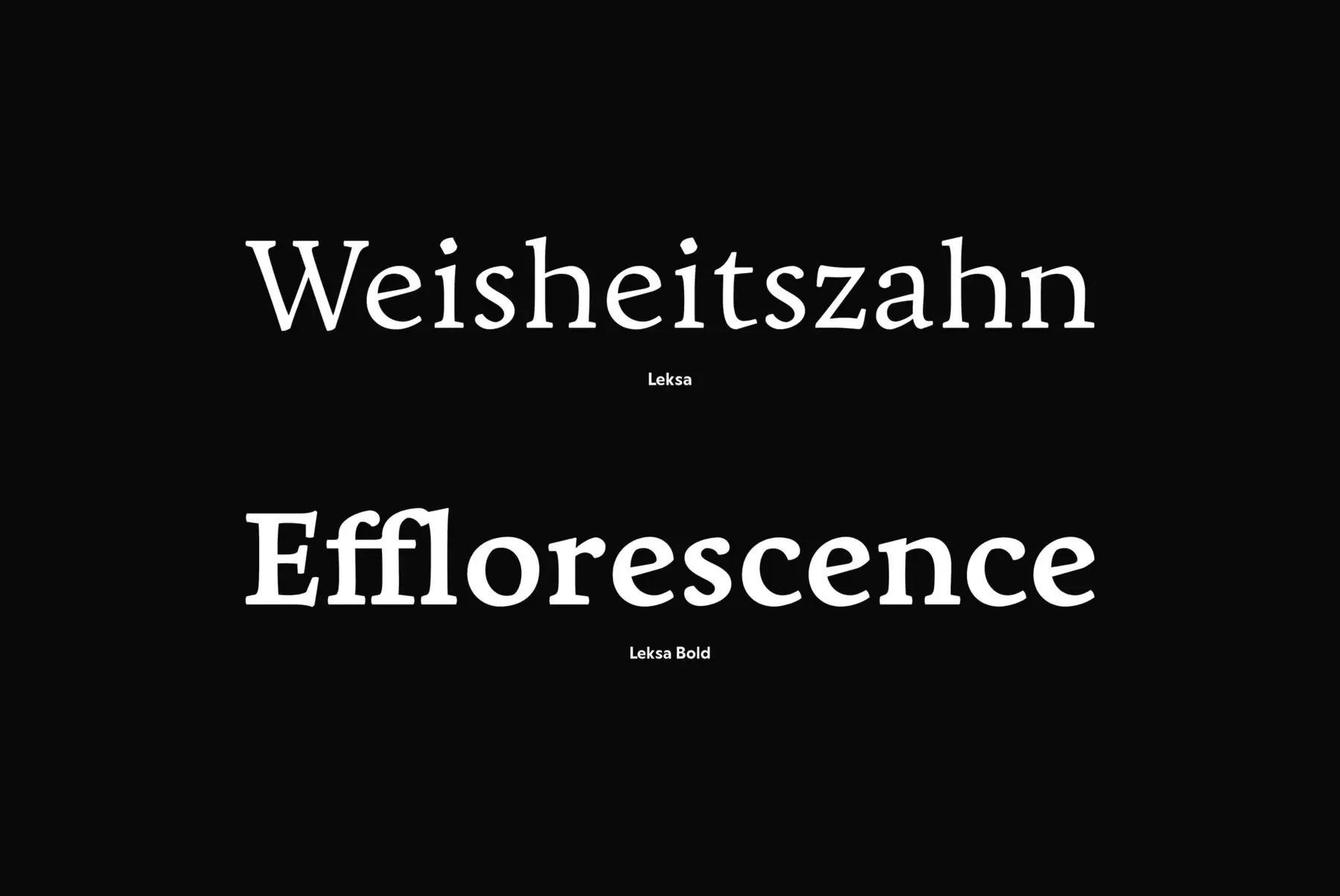 Leksa Font - YouWorkForThem