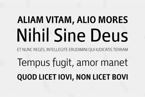 Mellnik Text Font - YouWorkForThem