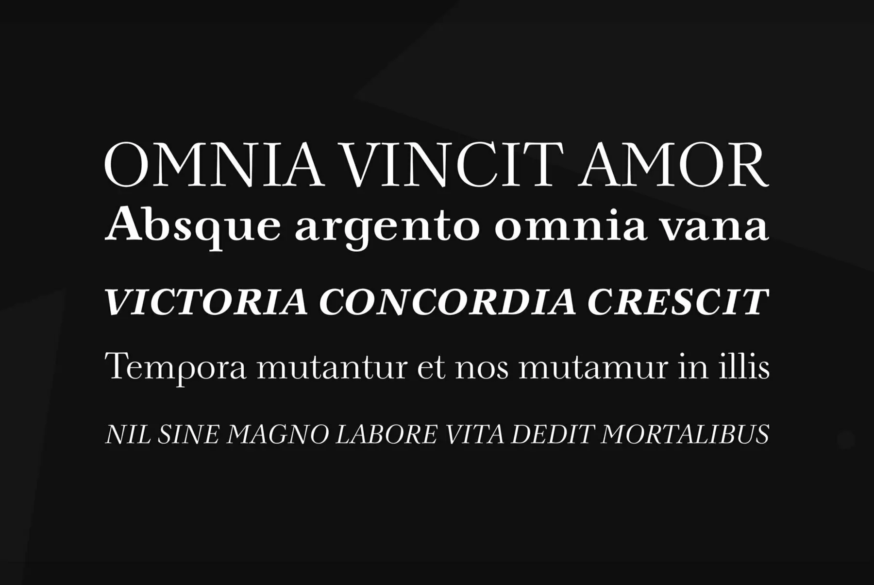 Neva Font - YouWorkForThem