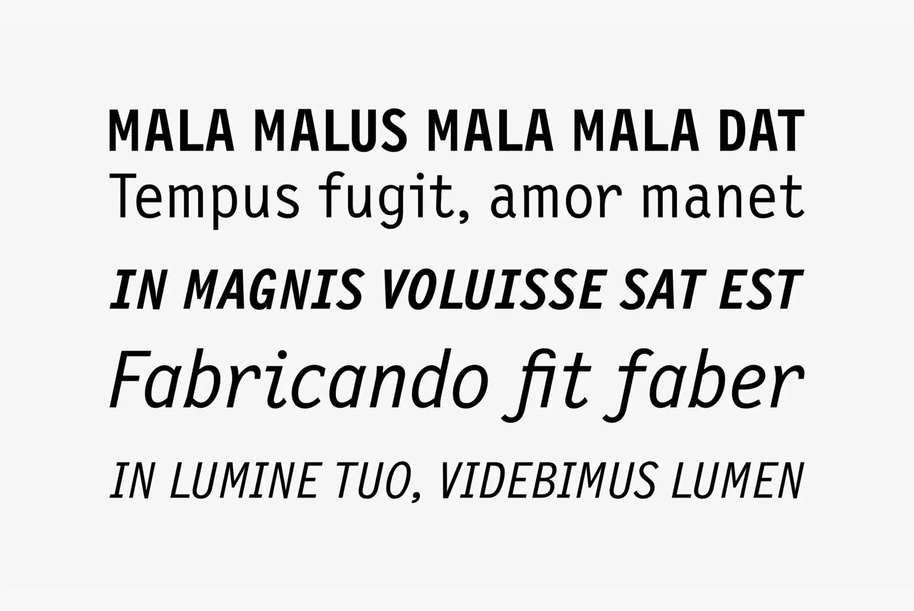 New Letter Gothic Font - FontPath