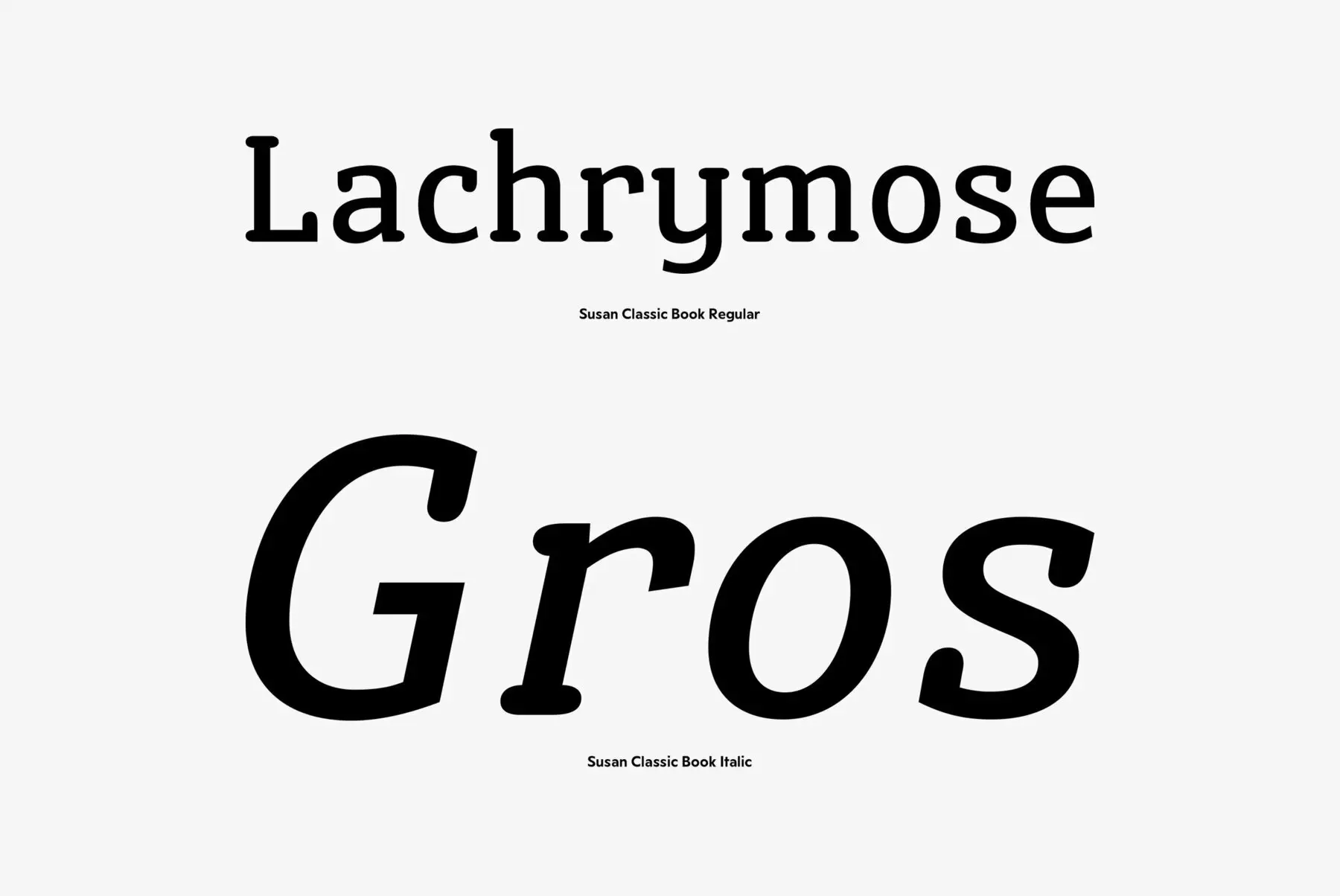 Susan Classic Font - YouWorkForThem