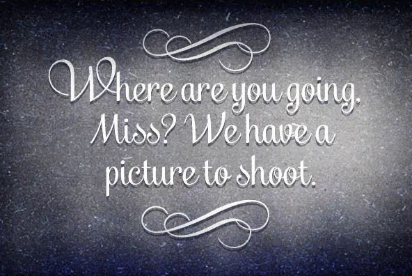 Taiga Font - YouWorkForThem