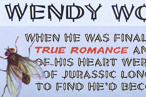 Wendy Woo Font - FontPath