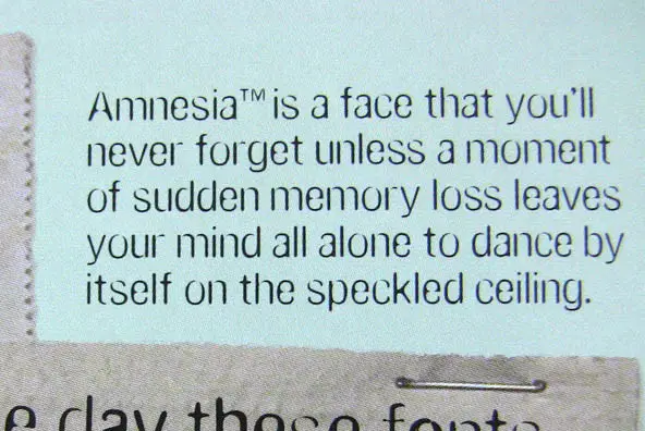 Amnesia Font - FontPath