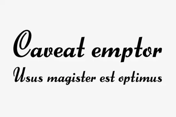 Forelle Pro Font - YouWorkForThem