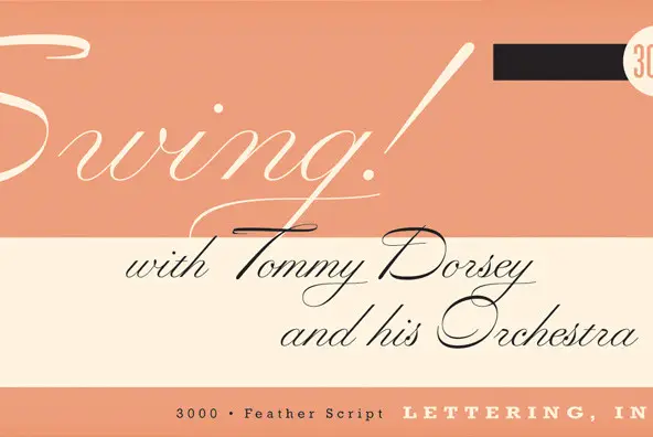 Feather Script Font - FontPath