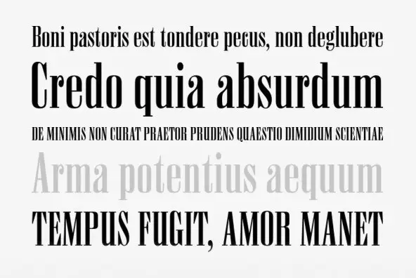 Amati Pro Font - YouWorkForThem