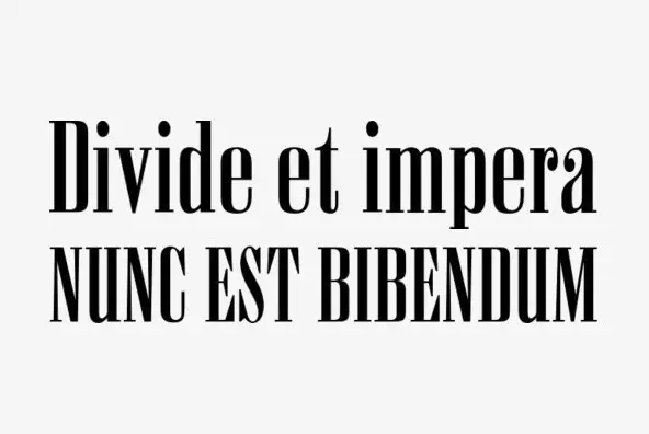 Amati Pro Font - YouWorkForThem