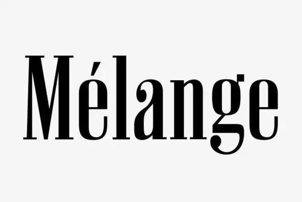 Amati Pro Font - YouWorkForThem