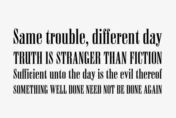 Amati Pro Font - YouWorkForThem