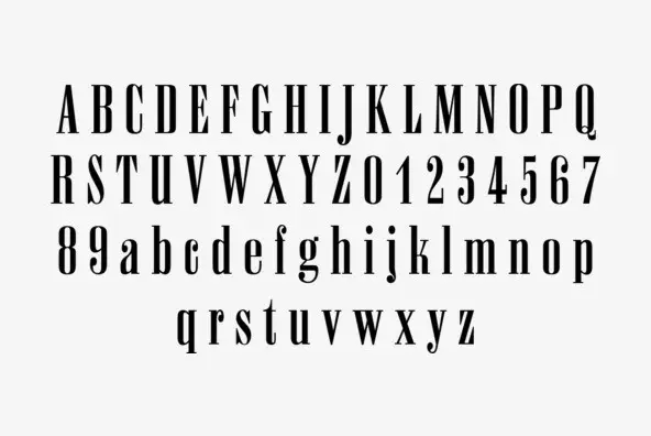 Amati Pro Font - YouWorkForThem