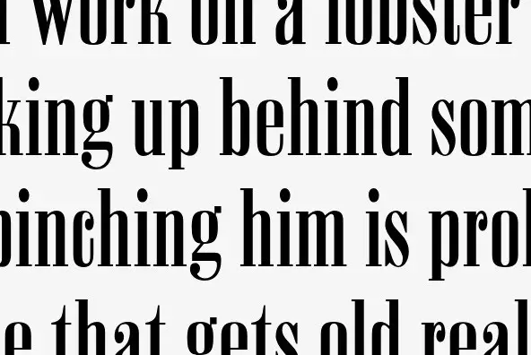 Amati Pro Font - YouWorkForThem