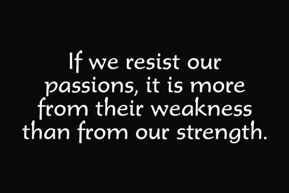 Mobil Pro Font - FontPath