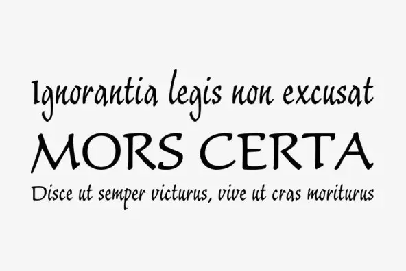 Typoskript Pro Font - FontPath