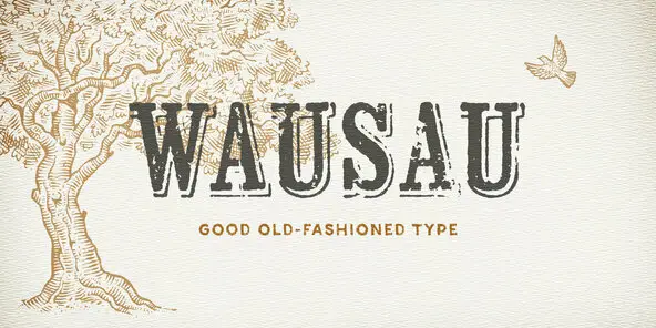 Download Yellow Design Studio Fonts - FontPath