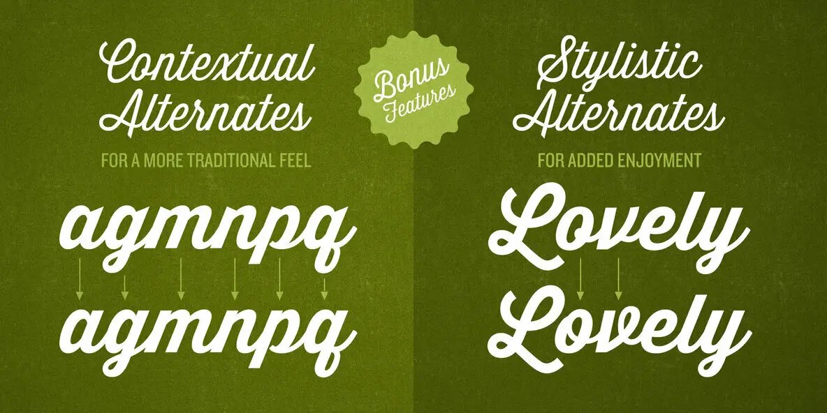 Thirsty Script Font - YouWorkForThem