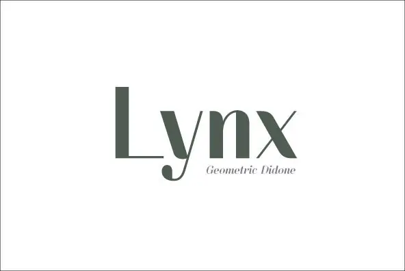 Lynx Font - YouWorkForThem