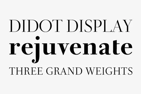 Didot Display Font - FontPath