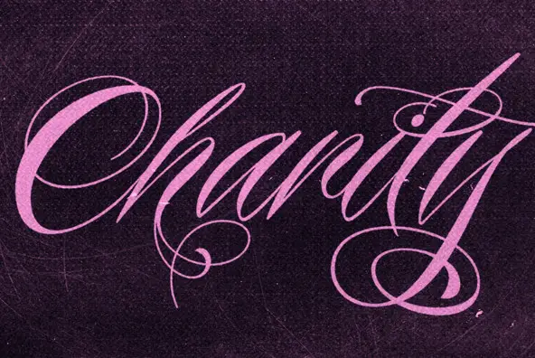 Piel Script Font - YouWorkForThem