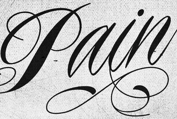 Piel Script Font - YouWorkForThem