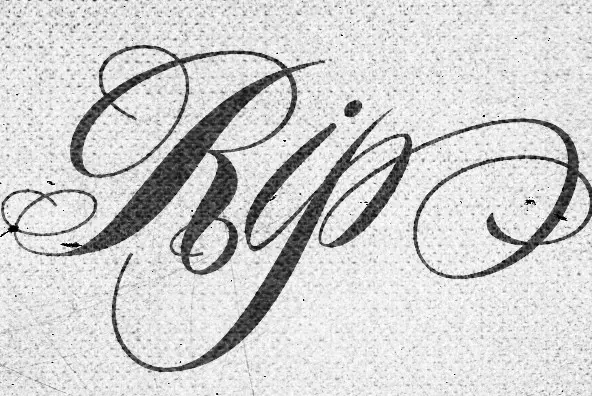 Piel Script Font - YouWorkForThem