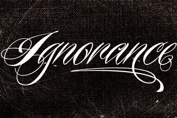 Piel Script Font - YouWorkForThem