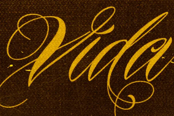 Piel Script Font - YouWorkForThem