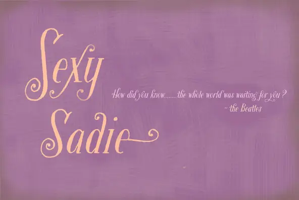 Bookeyed Sadie Font - YouWorkForThem