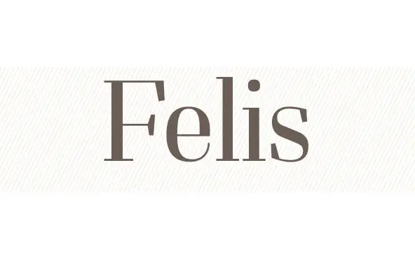 Felis Font - YouWorkForThem