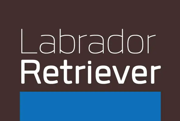 Labrador Font - YouWorkForThem