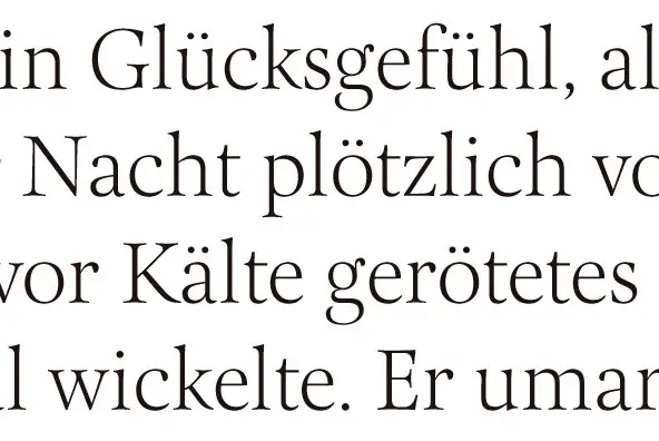 Pona Display Font - FontPath
