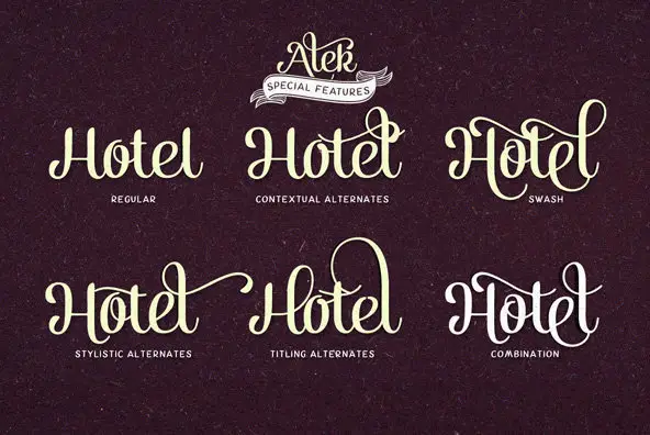 Alek Font - YouWorkForThem
